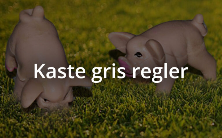 Du kan finde alle Kaste Gris regler her - Dansk7kabale.dk